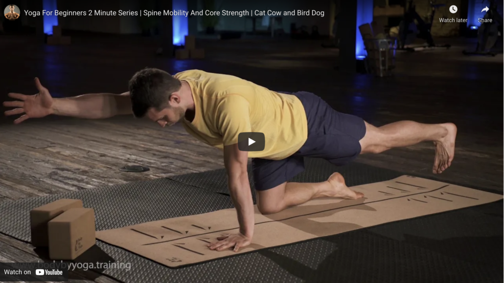 Yoga For Beginners 2 Minute Series | Spine Mobility And Core Strength ...