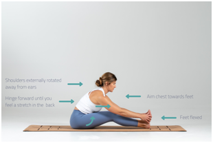 Step-By-Step Beginners Guide To The Seated Forward Fold Pose - Body By Yoga